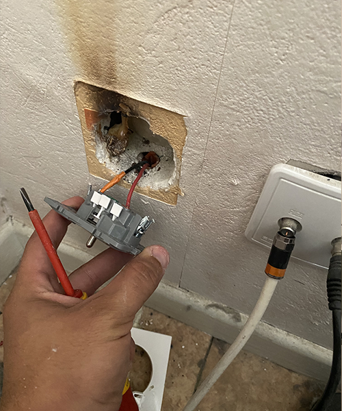 Galerie photos de Jolielec à Aussonne